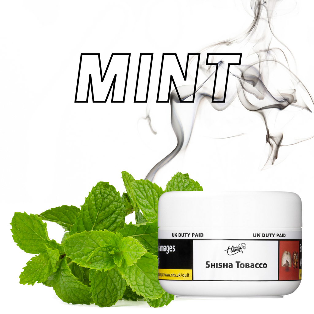 Mint | Shisha Flavour – HOOKED ON HOOKAH